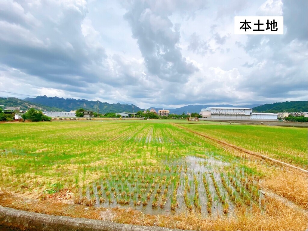 農地㋡㋡草屯中正路旁42米大面寬臨路節稅收租美農地 ️南投縣草屯鎮新埔段 樂屋網 土地買賣