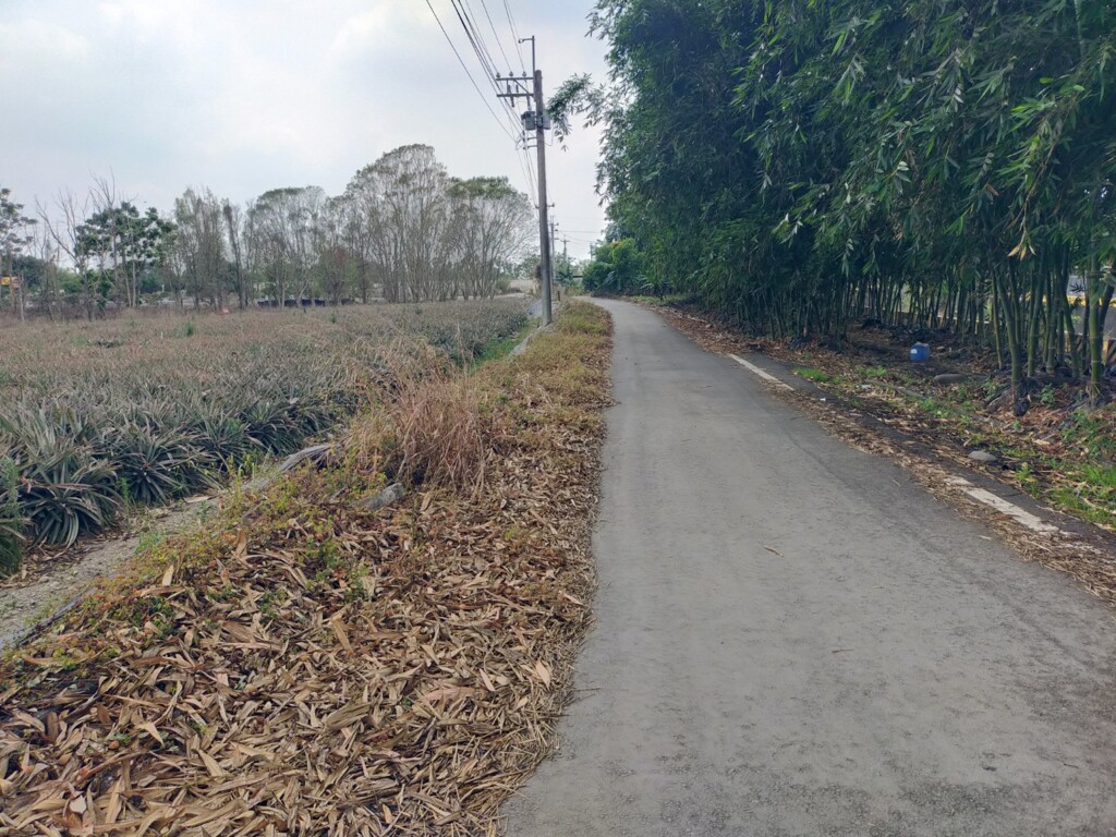 農地|高樹低價純農保農地|屏東縣高樹鄉光復路 - 樂屋網 土地買賣