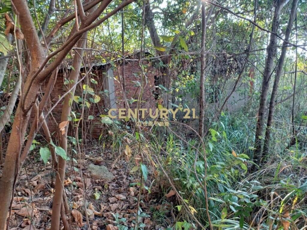 住宅用地草屯土地 草屯石川古厝甲建南投縣草屯鎮新光段 樂屋網 土地買賣