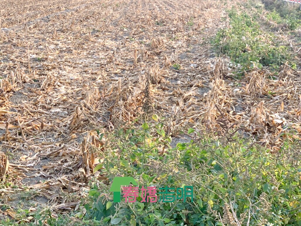 農地【義竹17分雙面臨路農地】春嬌志明嘉義縣義竹鄉角帶圍 樂屋網 土地買賣