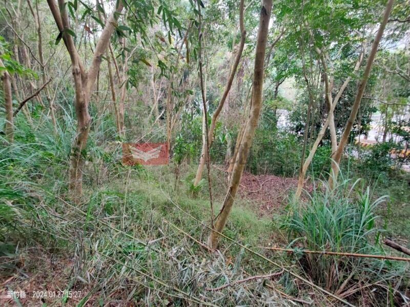 峨眉湖台三線旁美農地 新竹縣峨眉鄉買房子、房屋出售 樂屋網
