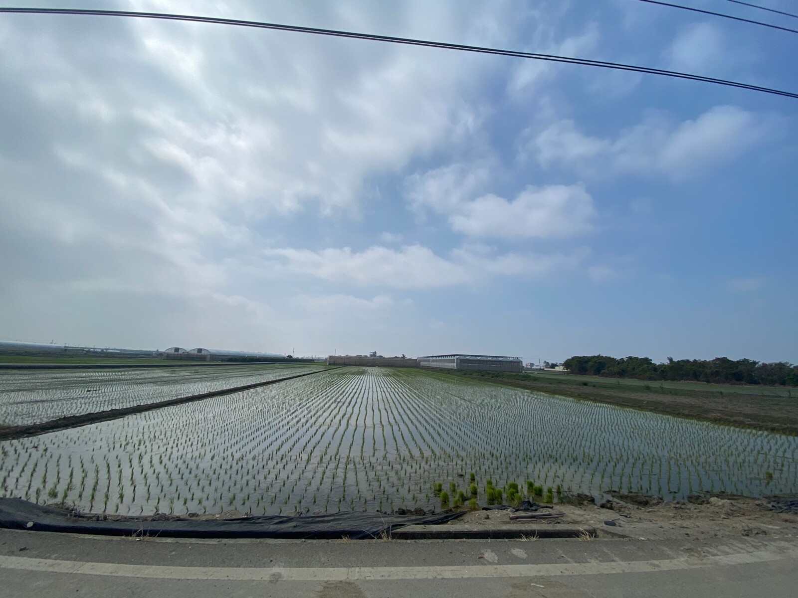 農地太保大崙美農地嘉義縣太保市埔心段埔心小段 樂屋網 土地買賣
