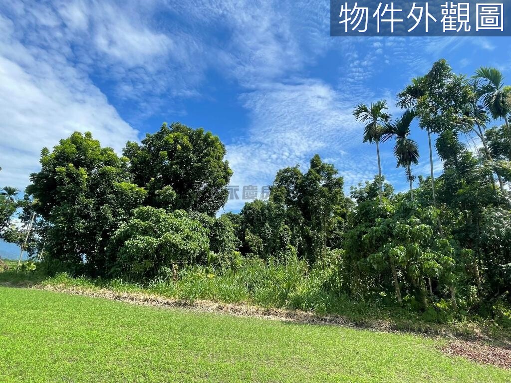 其他【獨家專賣】光復買地送樹林一般農業區平坦農地花蓮縣光復鄉大平段 樂屋網 土地買賣