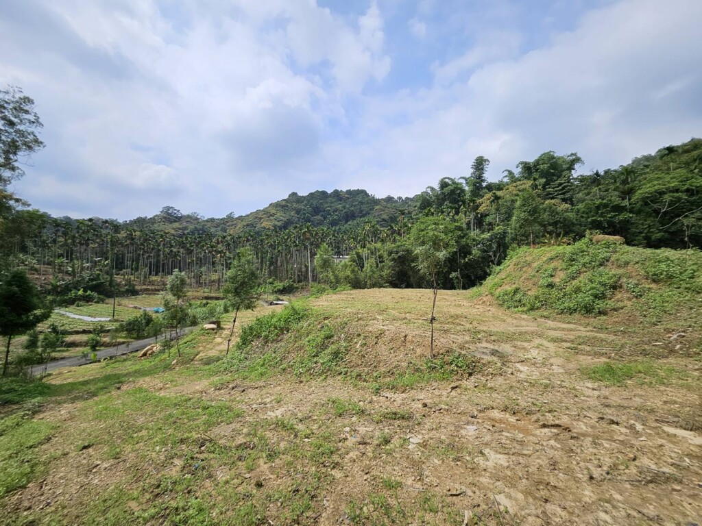 農地鹿谷仁愛路旁初鄉段景觀農地台中買屋賣房土地王劉志忠南投縣鹿谷鄉初鄉段 樂屋網 土地買賣