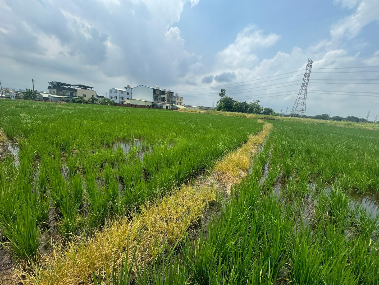 地產專家★大肚開心小農場 - 台中市大肚區買房子、房屋出售 | 樂屋網