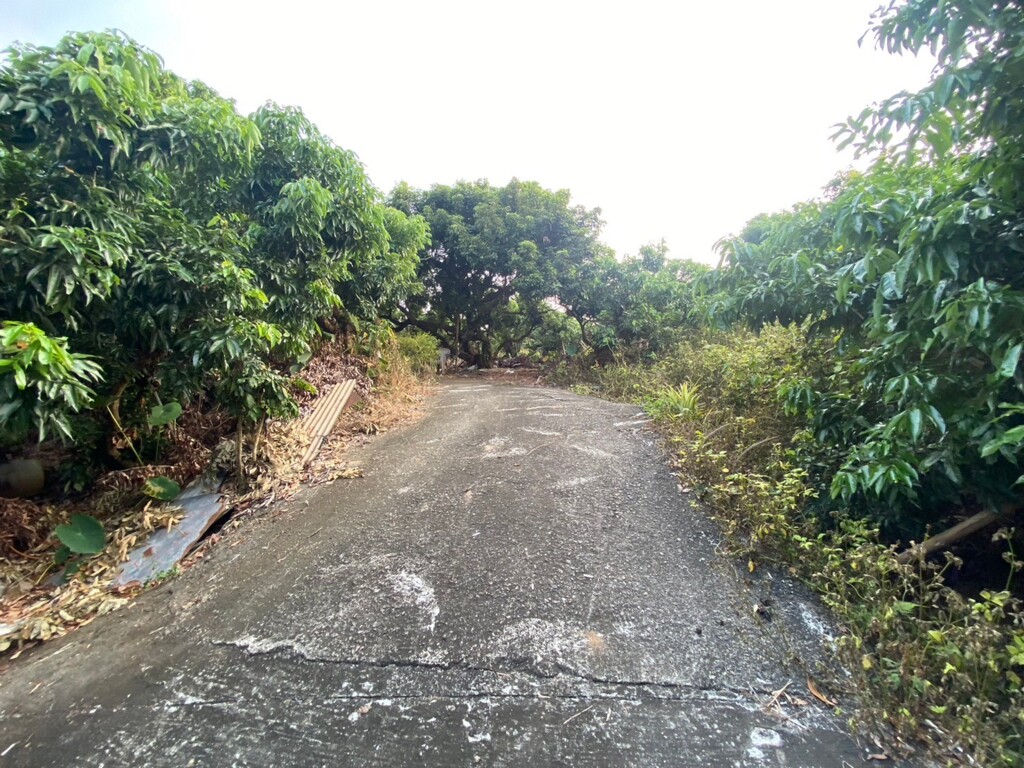 農地高雄內門區 最優件1410玉荷包荔枝園高雄市內門區永吉段 樂屋網 土地買賣