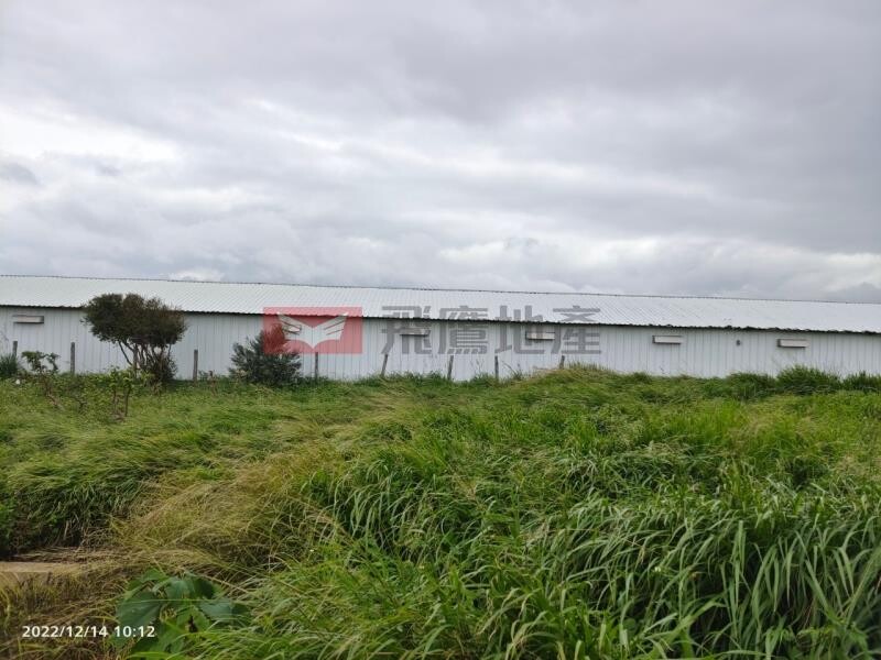 建地新豐青埔漂亮大美甲建新竹縣新豐鄉青埔子段 樂屋網 土地買賣