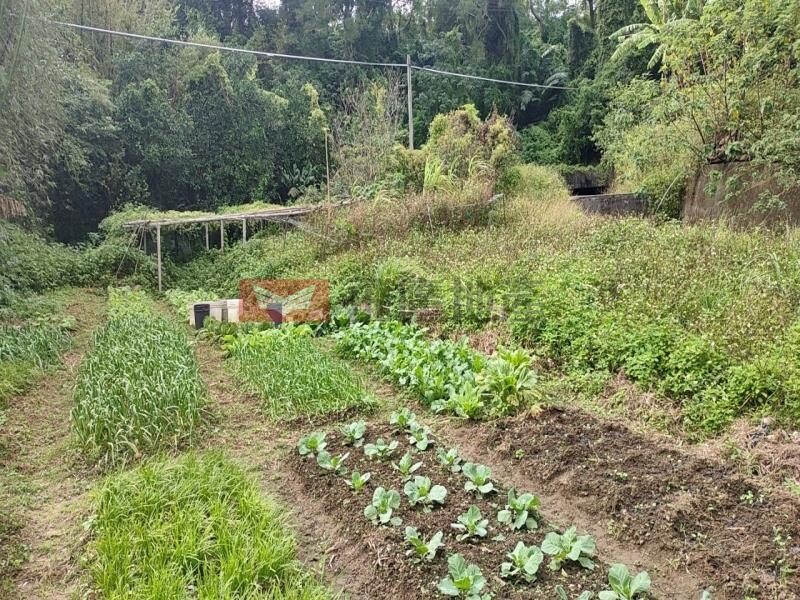 建地關西優美建＋農地新竹縣關西鎮下橫坑段 樂屋網 土地買賣
