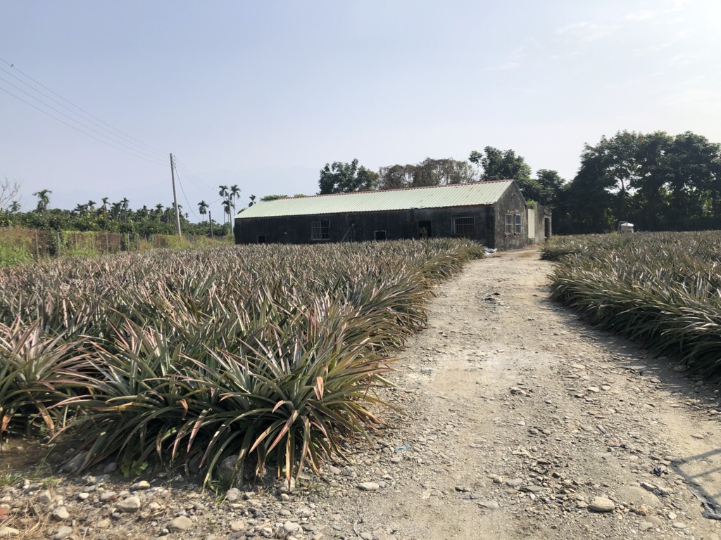 農地內埔方正農地合法農舍屏東縣內埔鄉圳頭段 樂屋網 土地買賣