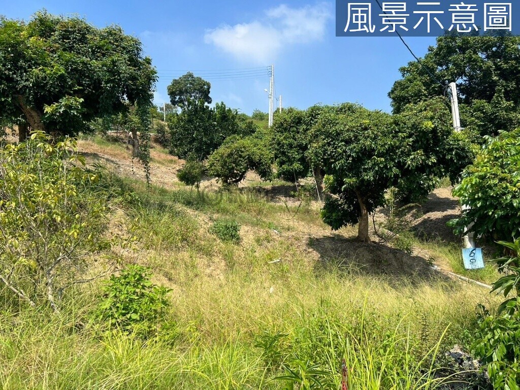 農地桐林山莊一期渡假農地多筆可選3號台中市霧峰區霧峰段北溝小段 樂屋網 土地買賣