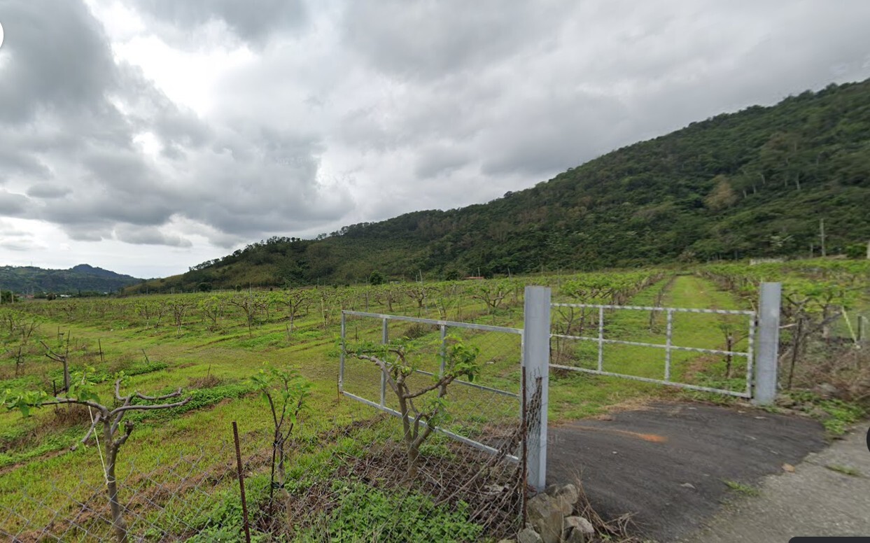 農地桂妃駕到‍台東卑南斑鳩漂亮方正農地台東縣卑南鄉斑鳩段 樂屋網 土地買賣