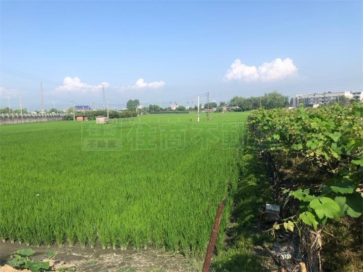 土地|員林員埔路一彎4分田|彰化縣員林市員埔路 - 樂屋網 土地買賣