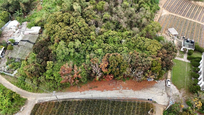 關廟低總價休閒農地 台南市關廟區買房子、房屋出售 樂屋網