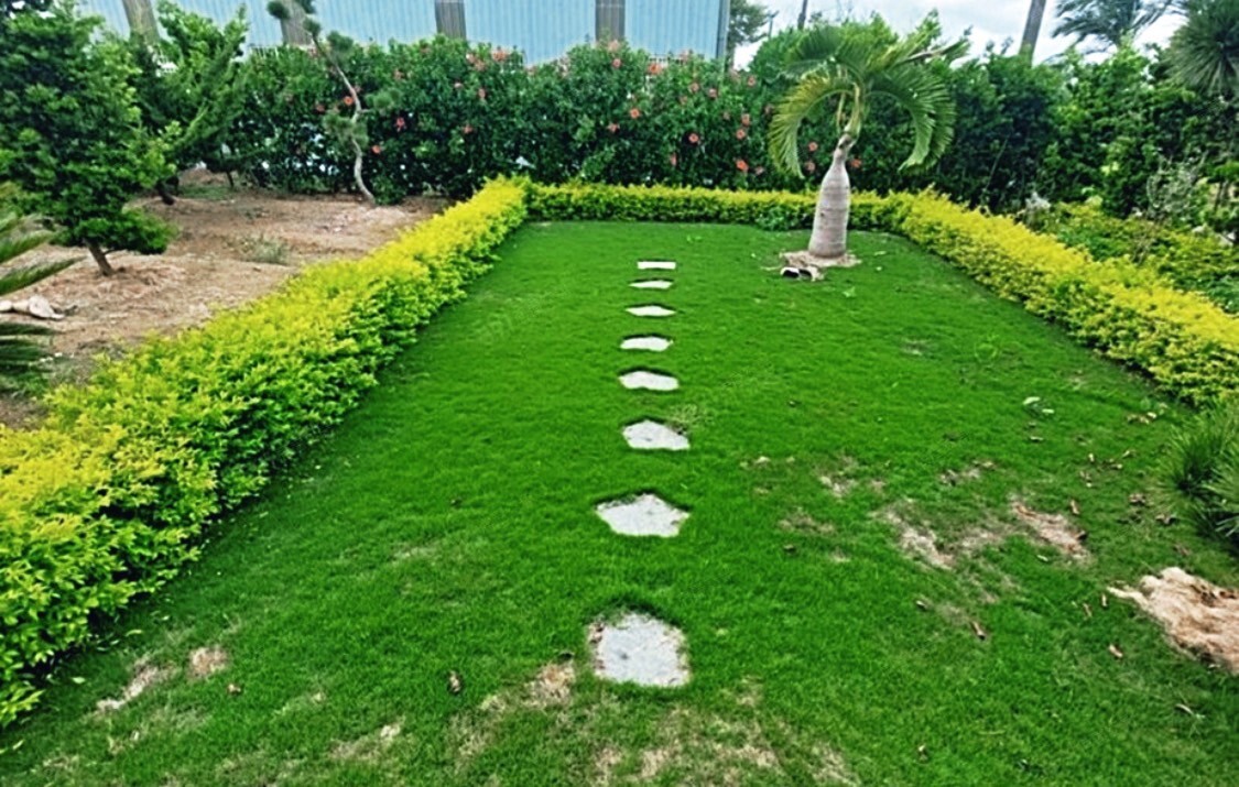 近桃園高鐵 大崙國中 農地508坪 有合法資材室 桃園市中壢區買房子、房屋出售 樂屋網