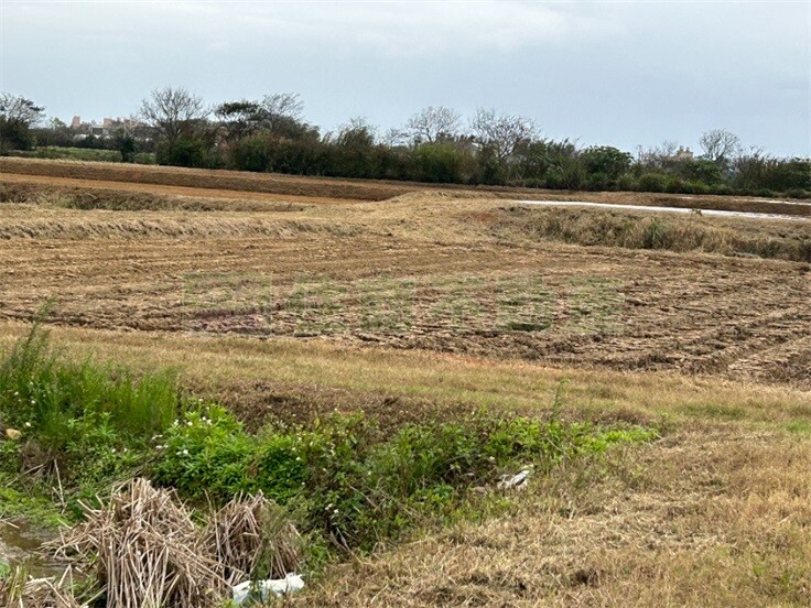 農地正和平西路投資田桃園市大園區桃園市和平段 樂屋網 土地買賣