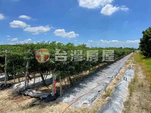 農地善化南科59分農地台南市善化區六分寮 樂屋網 土地買賣