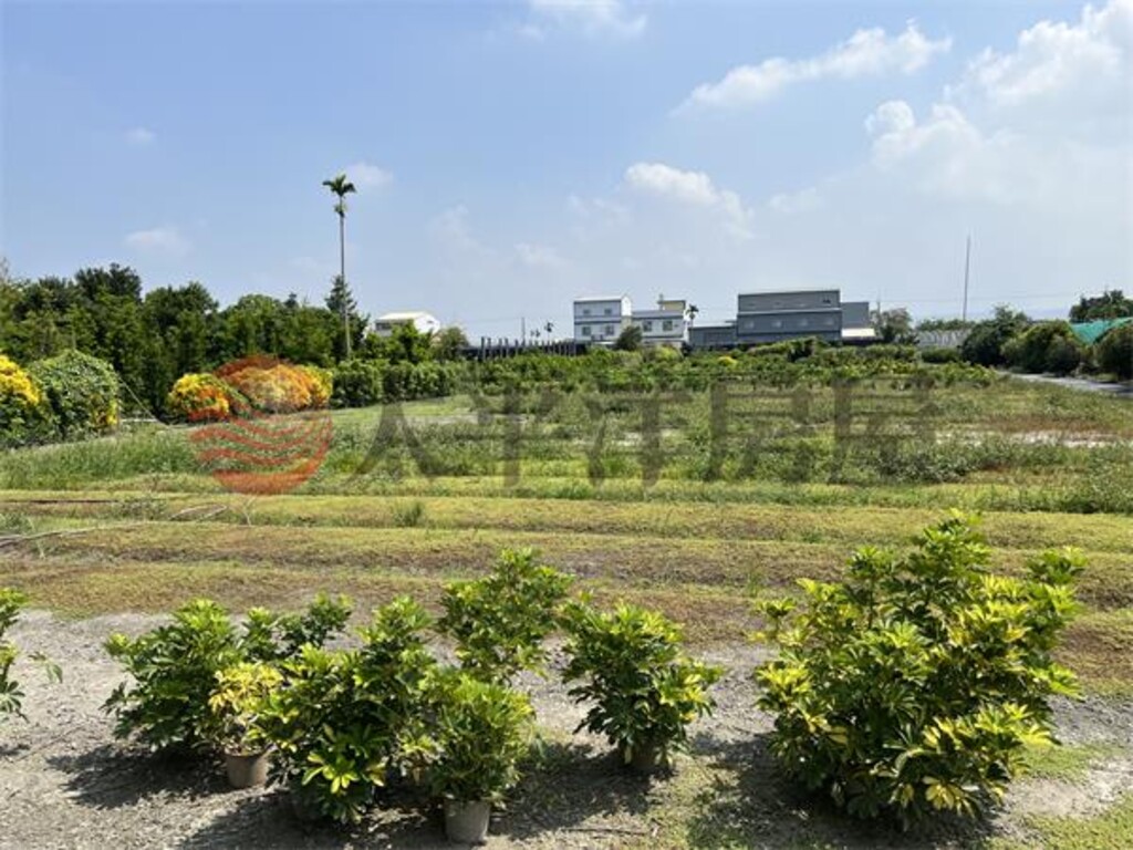 土地埔心4分種樹美田彰化縣埔心鄉新南段 樂屋網 土地買賣