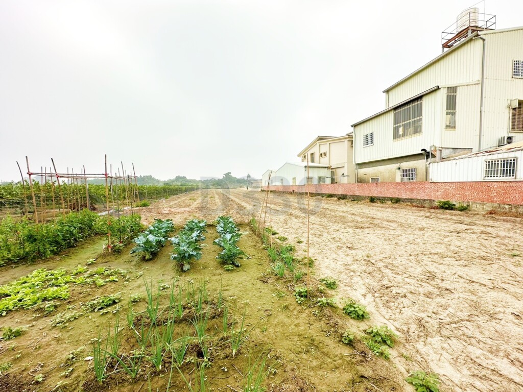 農地善糖文化園區鄰農地台南市善化區六分段 樂屋網 土地買賣