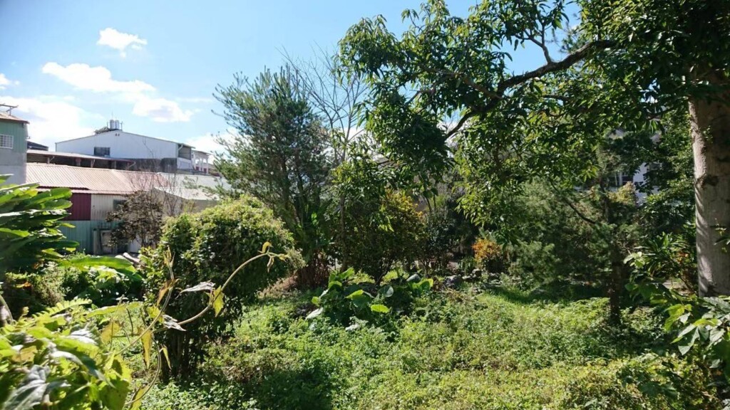 ~埔里惠双民生~埔里高工旁建地出售 南投縣埔里鎮買房子、房屋出售 樂屋網