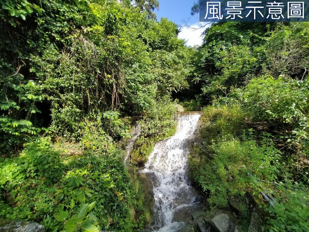 其他楠西與山林花鳥優美風景為伍之山坡地台南市楠西區灣丘段 樂屋網 土地買賣