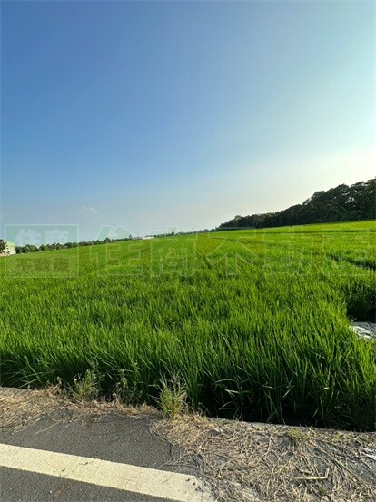 土地埤頭 彰水路一彎美田彰化縣埤頭鄉新崙子段 樂屋網 土地買賣