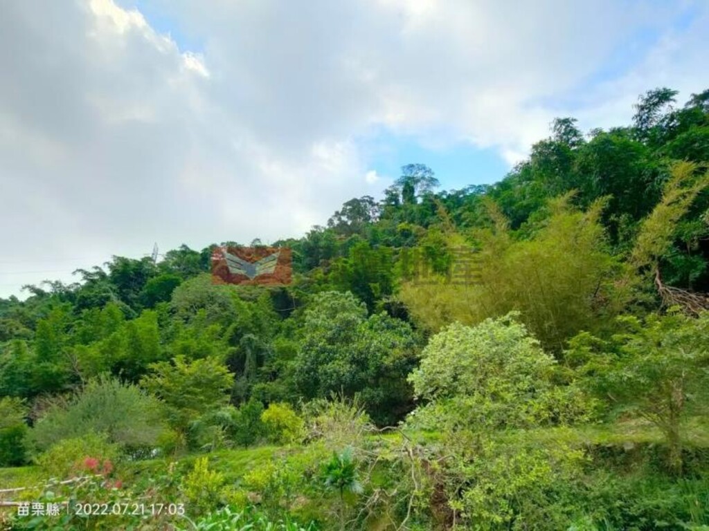 農地南庄原始林地苗栗縣南庄鄉北獅里興段 樂屋網 土地買賣