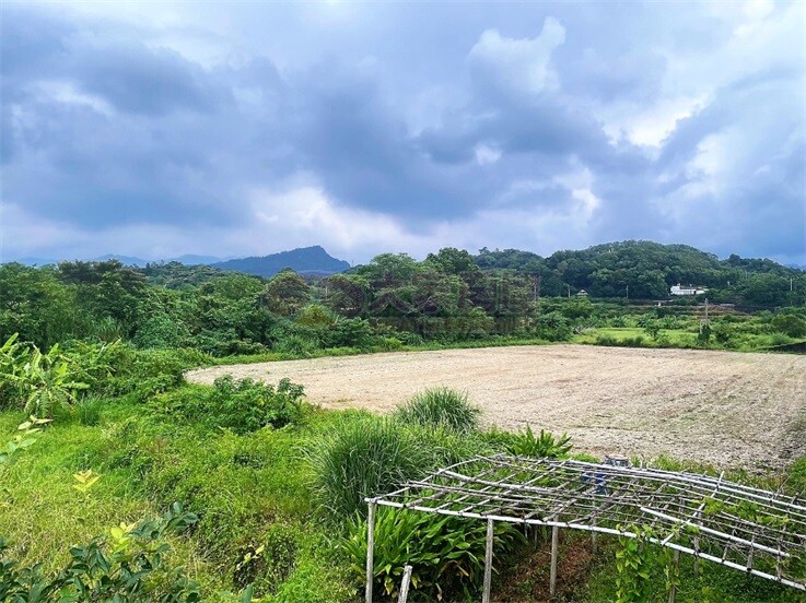 農地三灣1477坪臨路方正農地苗栗縣三灣鄉南銅鏡段 樂屋網 土地買賣