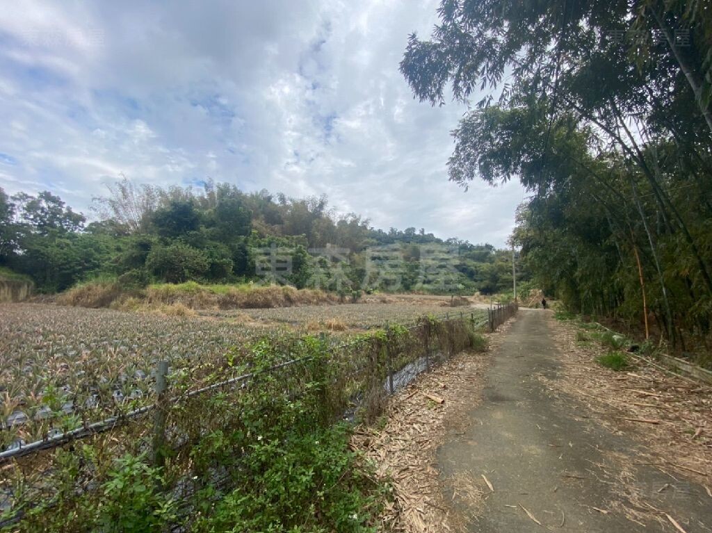 土地大社觀音山休閒種植農地高雄市大社區水哮段 樂屋網 土地買賣