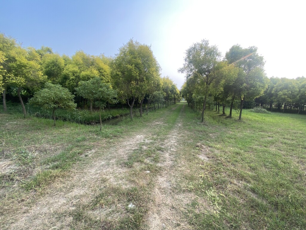 農地烏山頭風景區都內農地台南市官田區裕農街200巷46 樂屋網 土地買賣