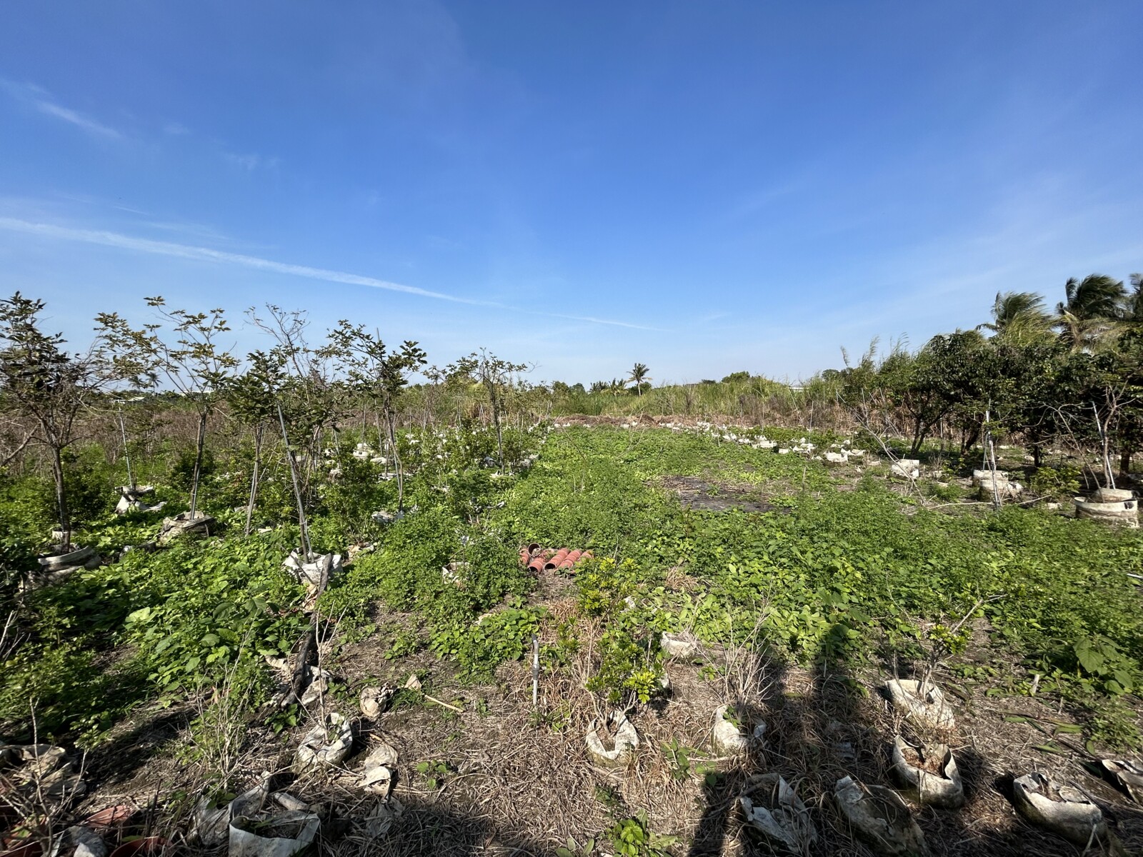 農地☀︎永成路旁豐美都內農地b☀︎台南市南區南豐段 樂屋網 土地買賣