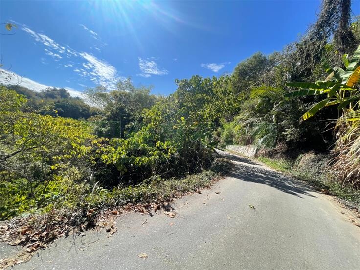 土地中寮農地6南投縣中寮鄉仙峰巷 樂屋網 土地買賣