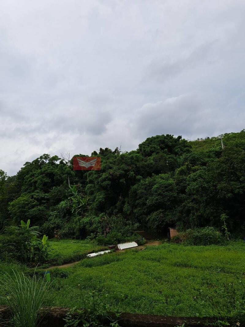 農地三灣臨路便宜地b苗栗縣三灣鄉南下林坪段 樂屋網 土地買賣