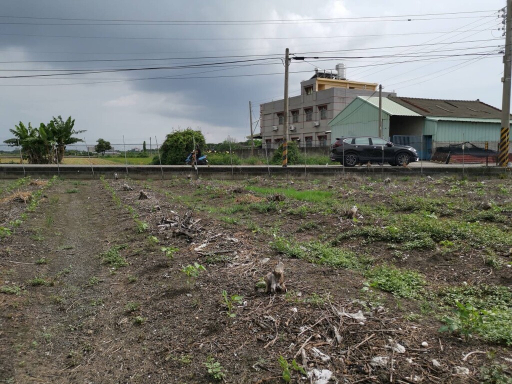 農地雲林虎尾 臨路大面寛 低總價農地雲林縣虎尾鎮虎興南路 樂屋網 土地買賣