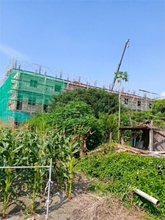 住宅用地褒忠國中鐵道路旁優質建地雲林縣褒忠鄉埔姜街 樂屋網 土地買賣