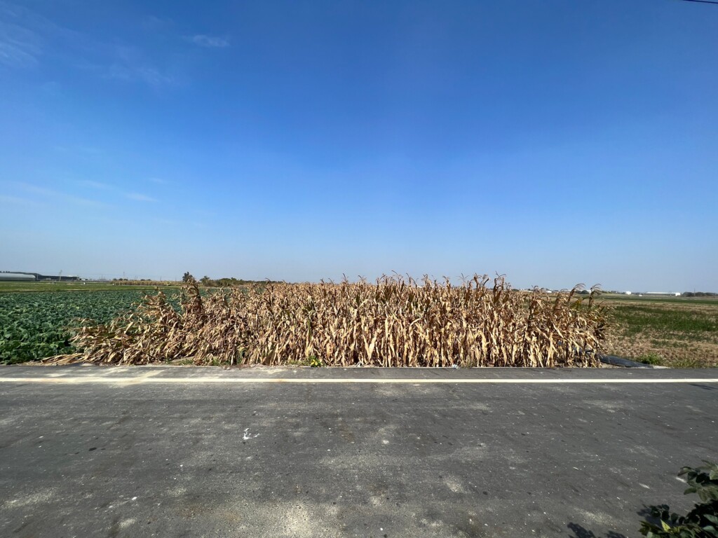 農地鹿草施厝寮方正農地~欣潔嘉義縣鹿草鄉施厝寮段施家小段 樂屋網 土地買賣