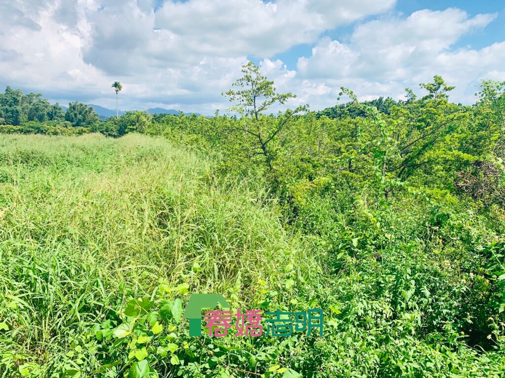 農地【東山北勢寮83分優質農地】春嬌志明台南市東山區北勢寮 樂屋網 土地買賣