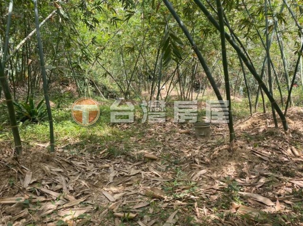 農地布袋尾農牧地快樂農場台南市關廟區布袋尾段 樂屋網 土地買賣