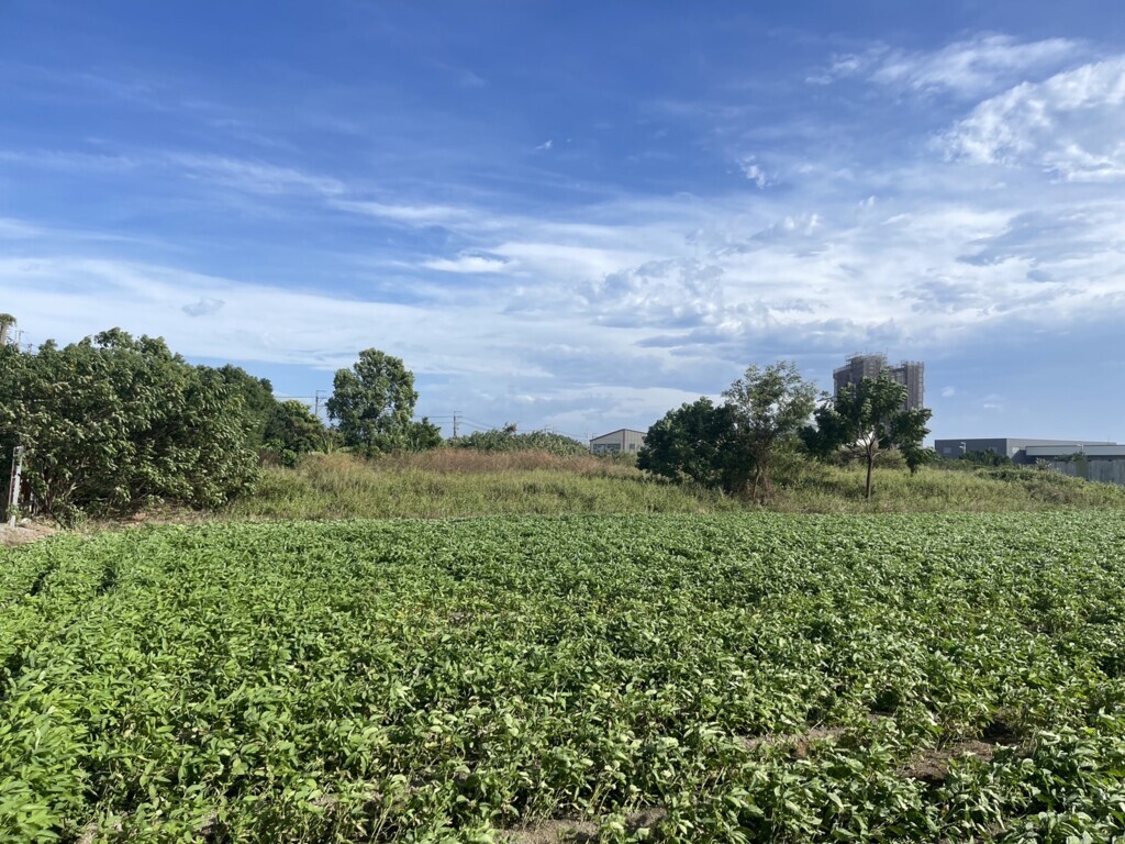 農地大雅雙面路農地+合法農舍有自來水有動力電台中市大雅區神林路一段 樂屋網 土地買賣