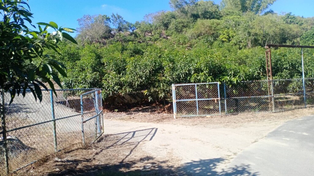 其他左鎮牛港嶺果園農建地台南市左鎮區左鎮段 樂屋網 土地買賣
