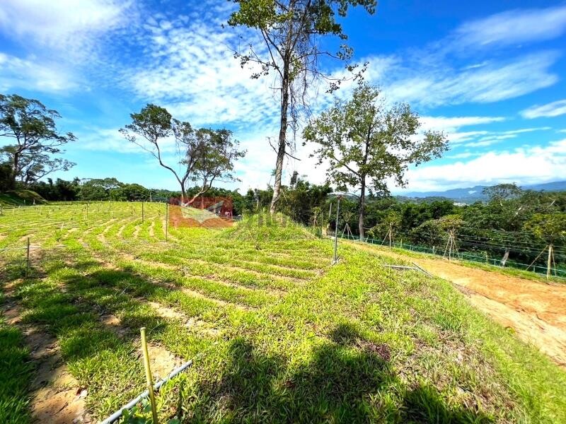農地峨眉湖畔露營休閒地新竹縣峨眉鄉赤柯坪段 樂屋網 土地買賣