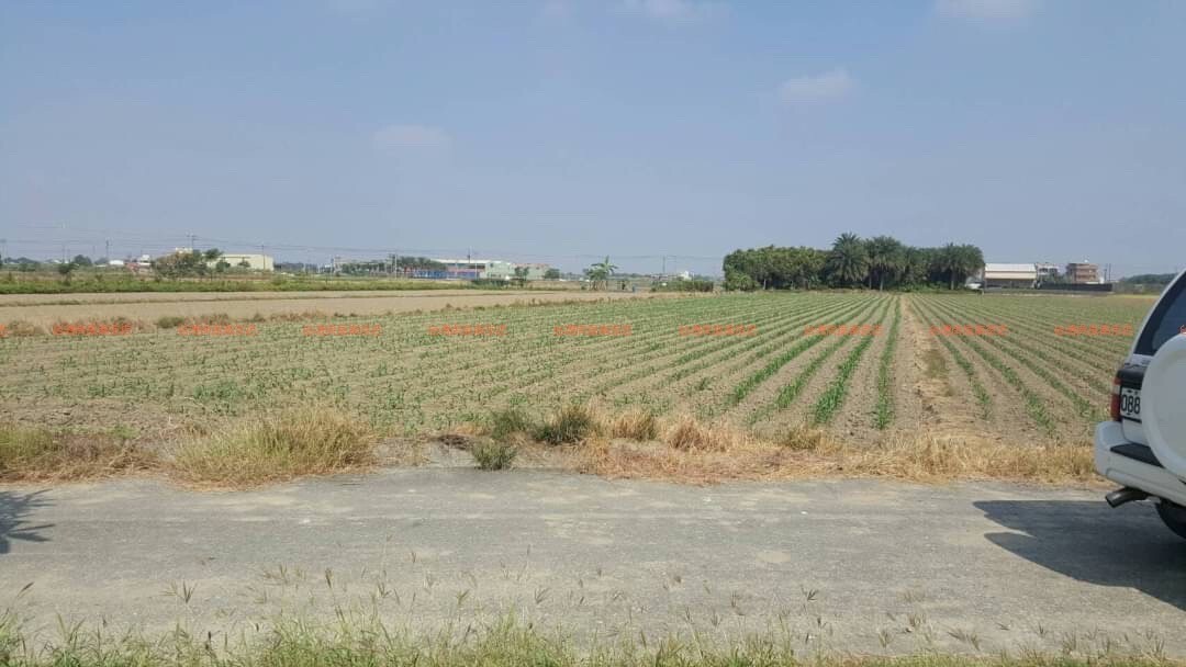 農地 ️故宮南院旁漂亮農地 ️嘉義縣朴子市雙溪口段雙溪口小段 樂屋網 土地買賣