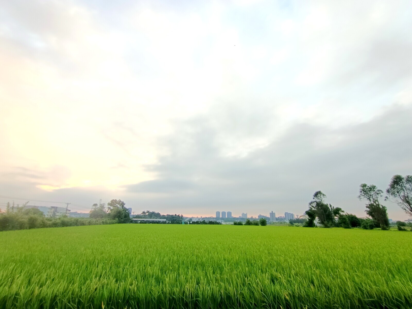建地【每坪不用13萬】八德長興路旁建地~近綠捷g01站桃園市八德區長興路 樂屋網 土地買賣