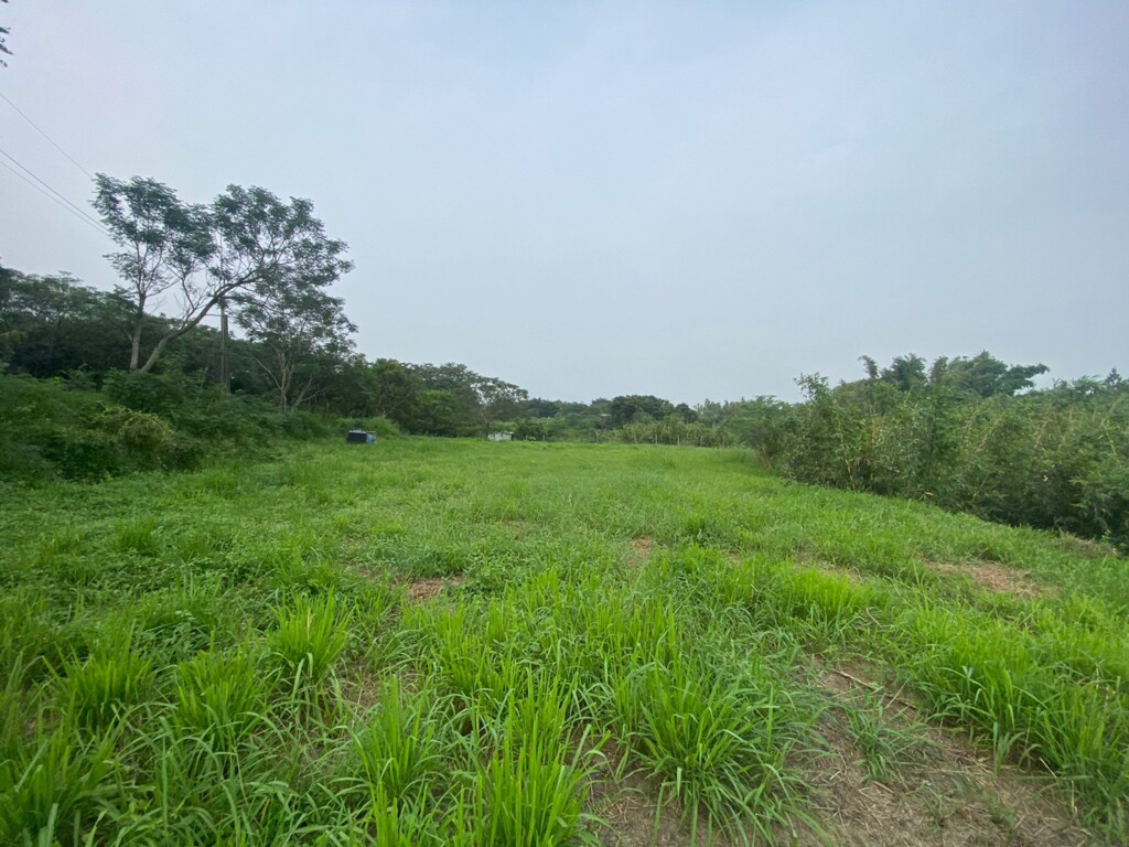 農地關廟 最優件近歸仁高鐵918便宜農地附格局圖台南市關廟區深坑子段 樂屋網 土地買賣
