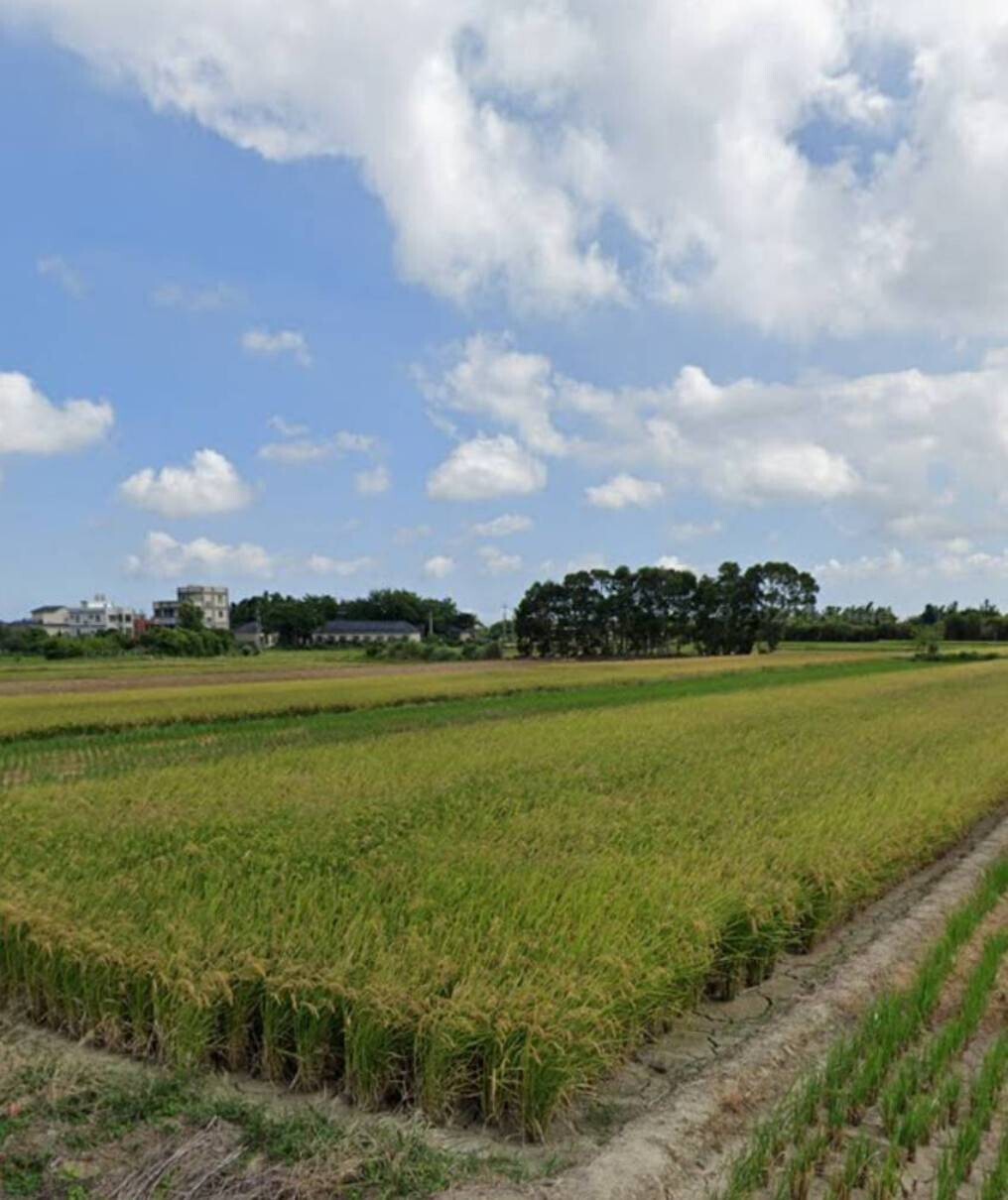 農地新屋低總價美農地高鐵南路楊新路四段桃園市新屋區埔頂段埔頂小段 樂屋網 土地買賣