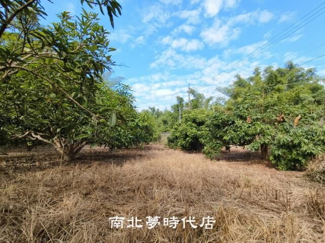 高雄市田寮區田寮段休閒農地 高雄市田寮區買房子、房屋出售 樂屋網