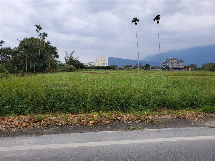 農地吉安中央路30米路旁漂亮農花蓮縣吉安鄉福興五街 樂屋網 土地買賣