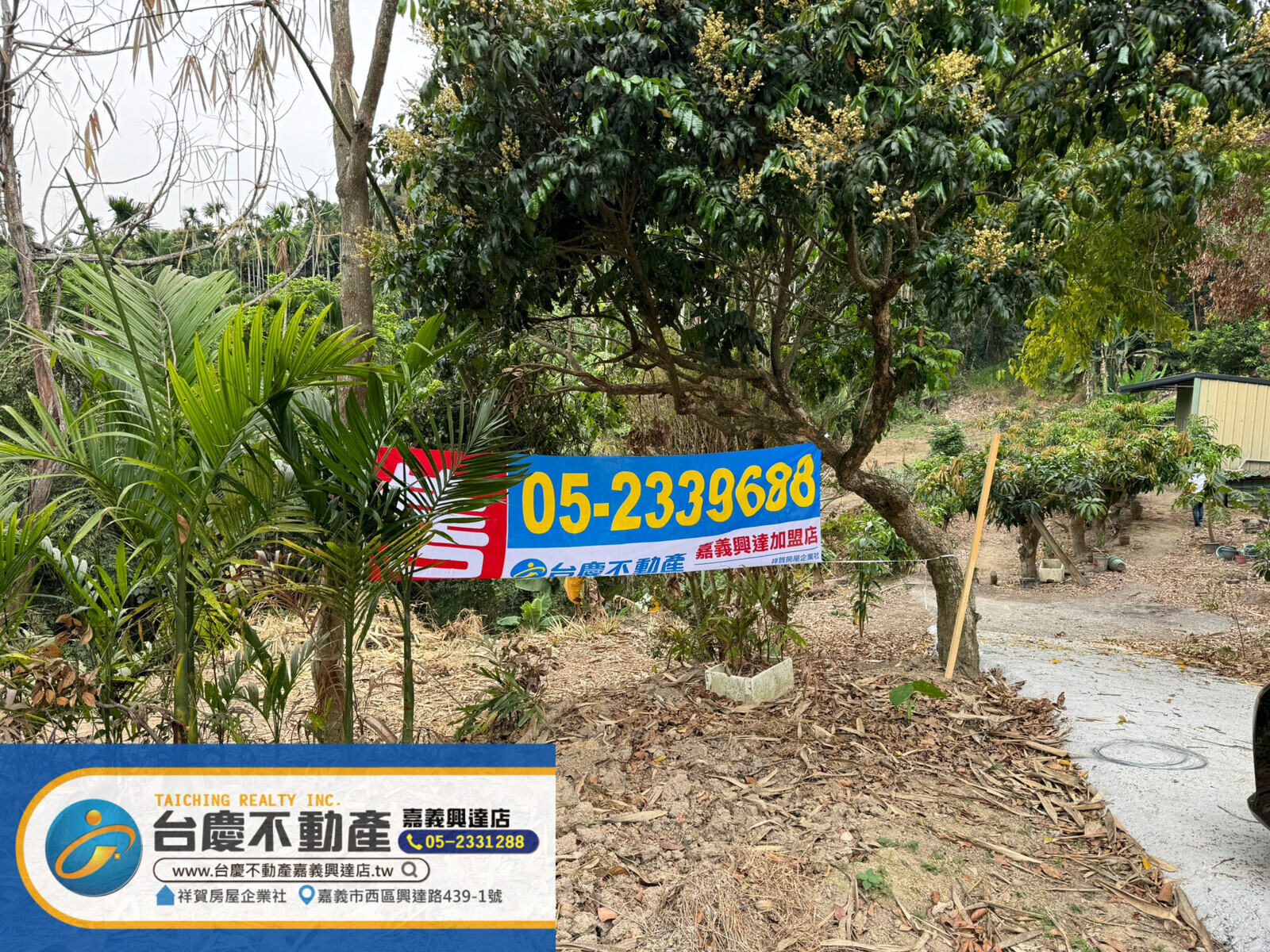 農地梅山過山段農地嘉義縣梅山鄉過山段 樂屋網 土地買賣