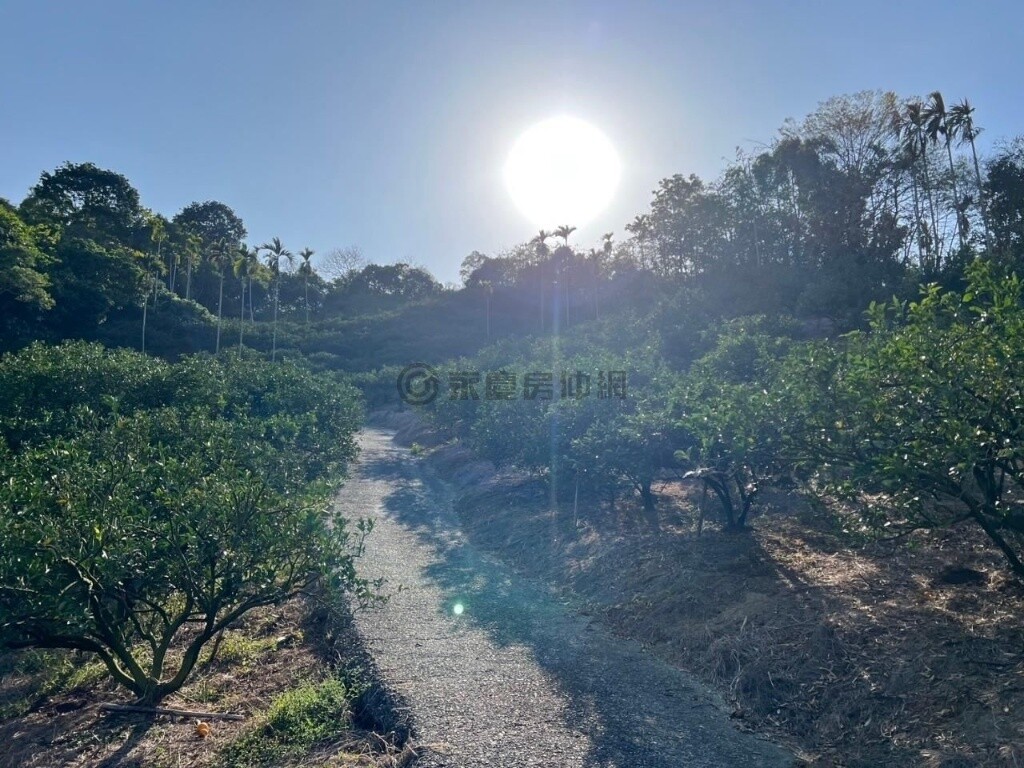 農地泡麵土地公保佑一甲農林地分水寮段南投縣中寮鄉分水寮段 樂屋網 土地買賣