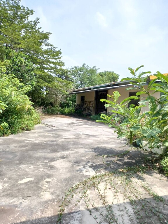 農地草屯都計內合法農舍農地南投縣草屯鎮頂園段 樂屋網 土地買賣
