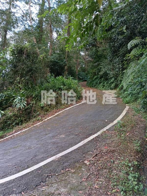 ⭐️哈哈地產⭐️a085南庄77坪建地便宜賣 苗栗縣南庄鄉買房子、房屋出售 樂屋網